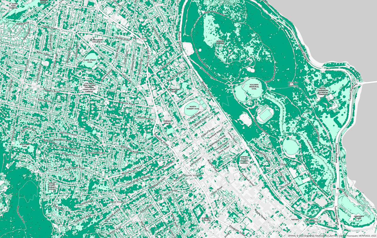 Geoneon | Vegetation Mapping Samples