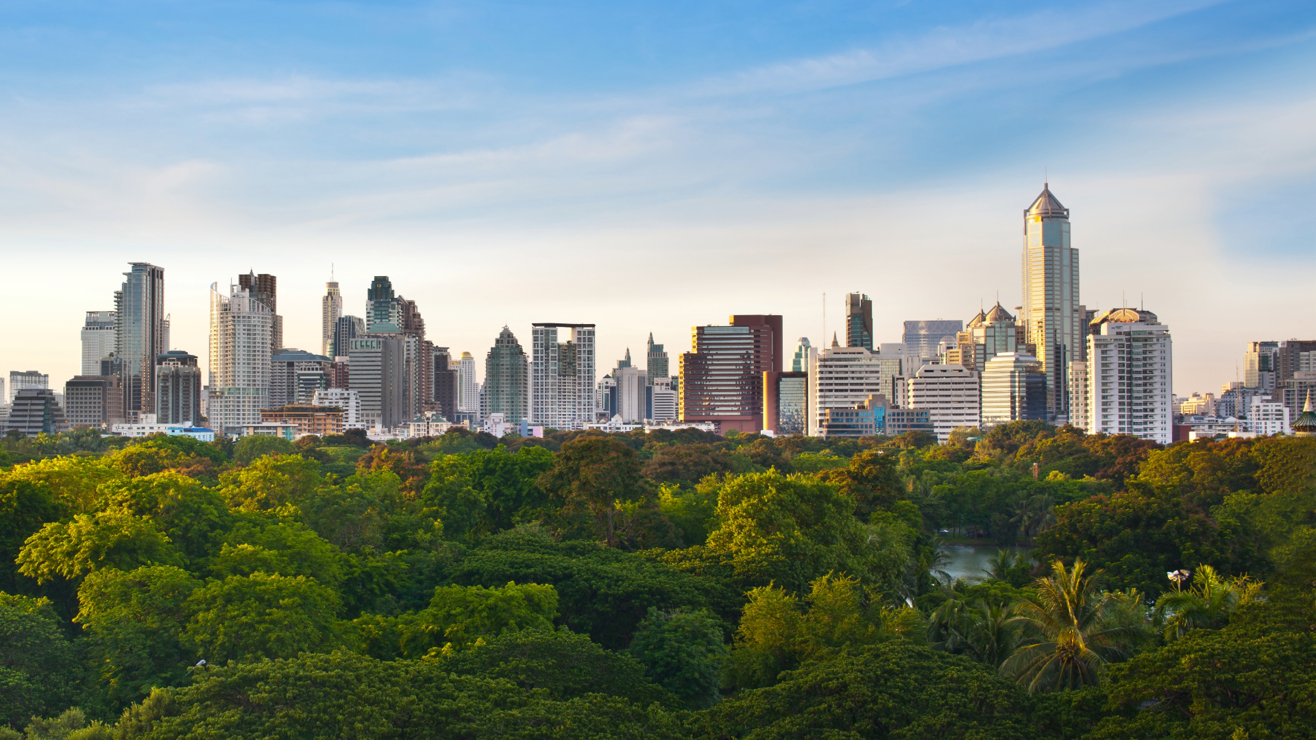 Urban Forest Ai Powered Reporting